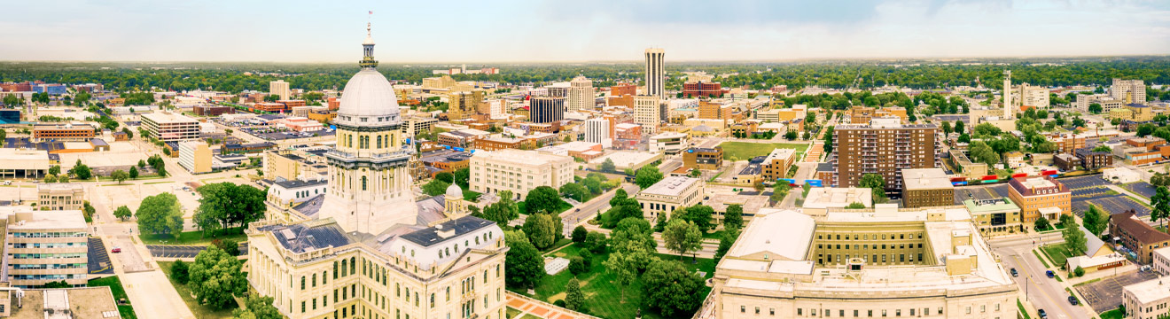 Springfield Vegan Chef Challenge | Vegan Chef Challenge